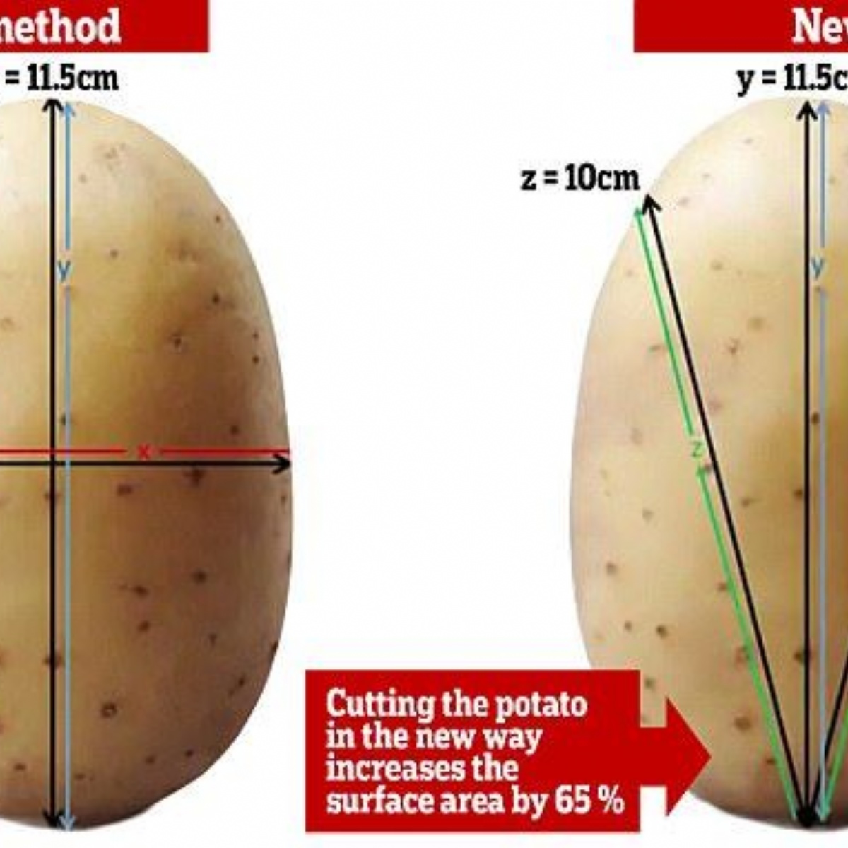 Samuel Whitbread Academy - Science behind the perfect roast potato ...